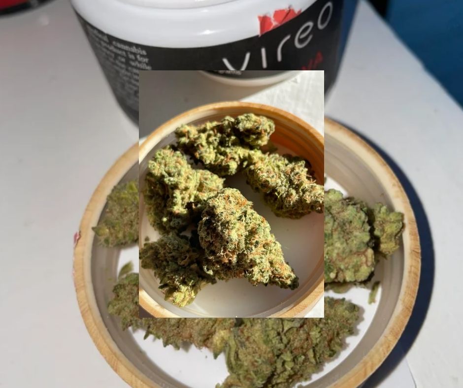 Princess Haze - Dispensary that ship - Princess haze strain
